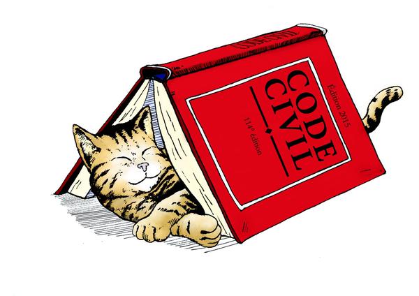 février | 2015 | La Compagnie des Chats